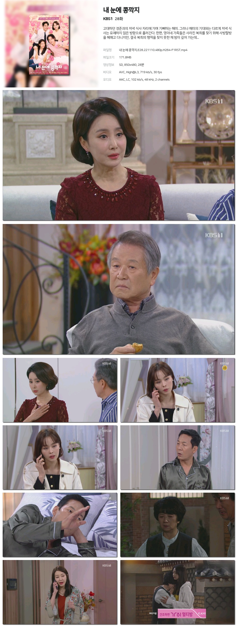 파일보고 - > 다운로드 > [KBS1] 내 눈에 콩깍지.E28.221110.480p.H264-F1RST