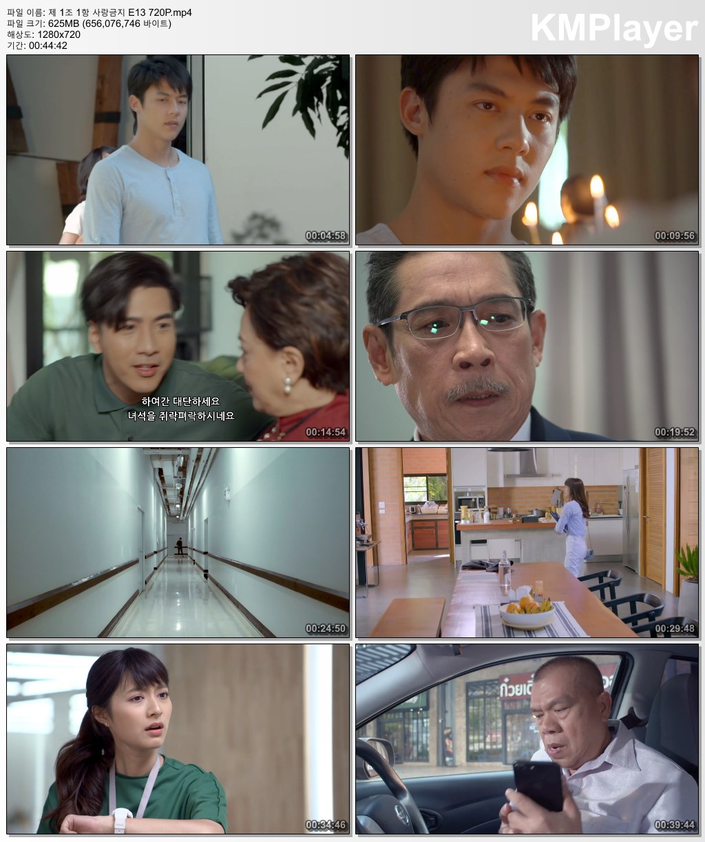 파일보고 - > 다운로드 > [han] [태드] 제 1조 1항 사랑금지 E13-E16 720P 마크 프린,미유