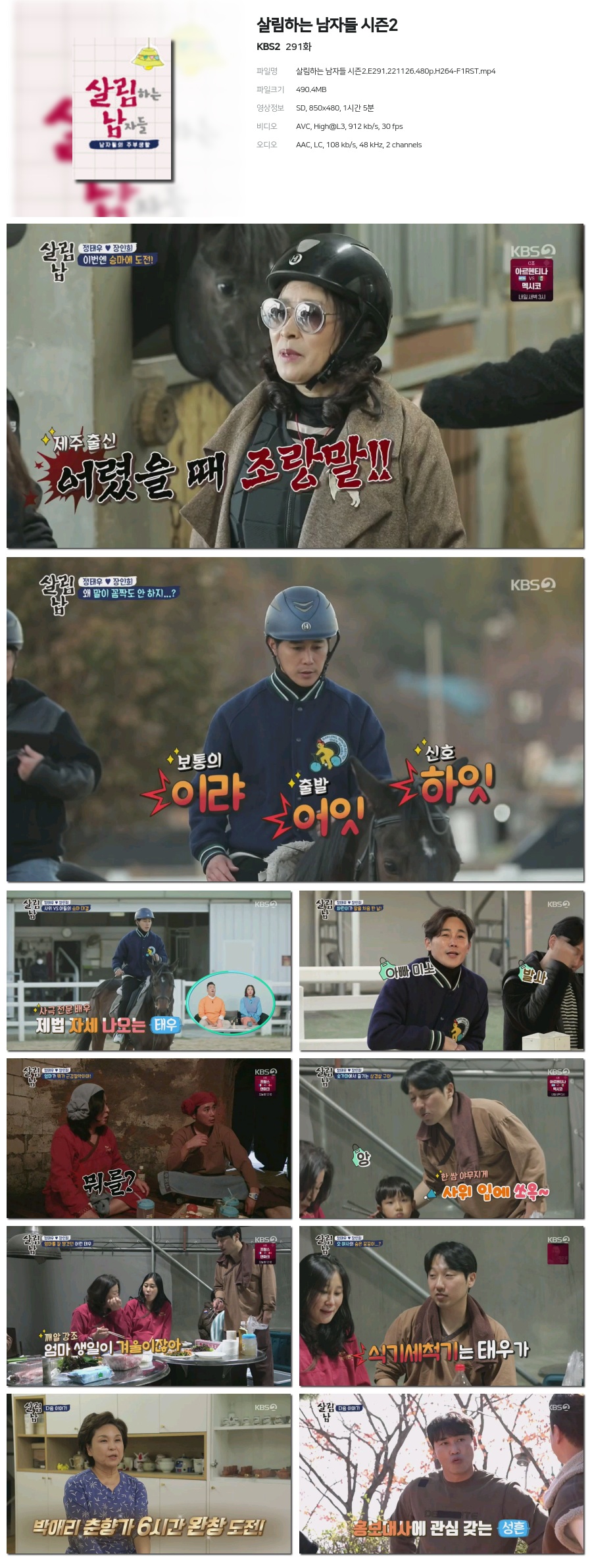 파일보고 - > 다운로드 > [KBS2] 살림하는 남자들 시즌2.E291.221126.480p.H264-F1RST