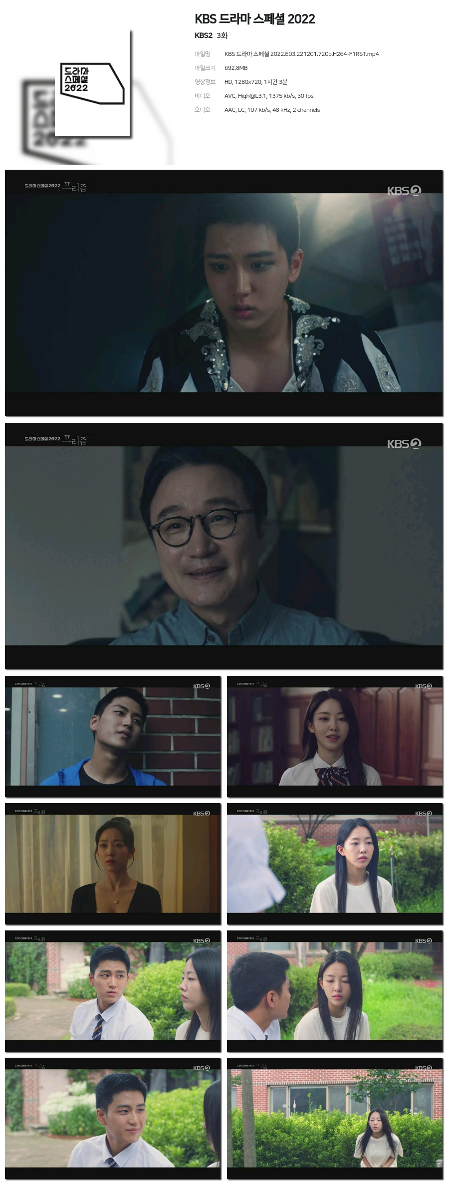 파일보고 - > 다운로드 > [KBS2] KBS 드라마 스페셜 2022.E03.221201.720p.H264-F1RST