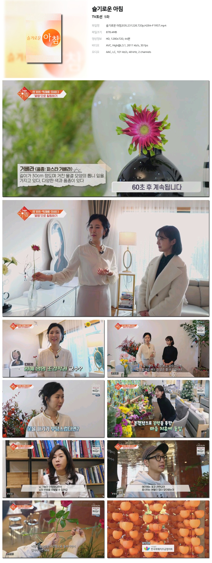 파일보고 - > 다운로드 > [TV조선] 슬기로운 아침.E05.231226.720p.H264-F1RST